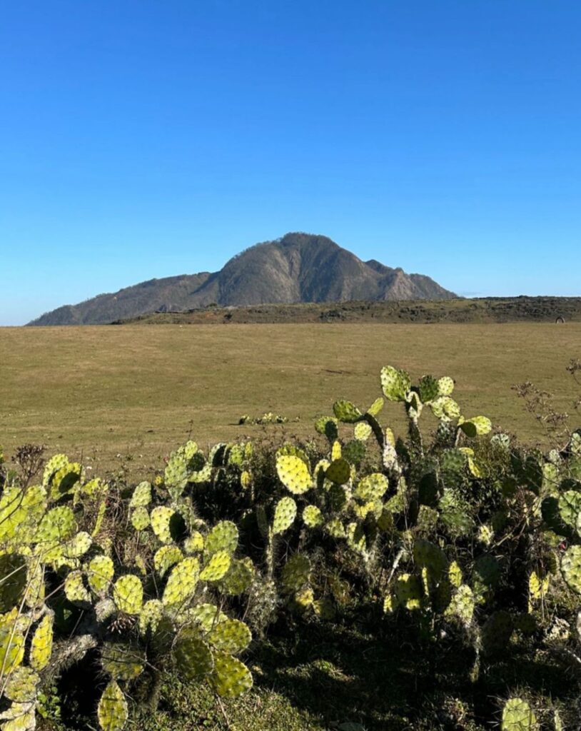 Potret Keindahan Padang Rumput Fulan Fehan di NTT - Scarf Media